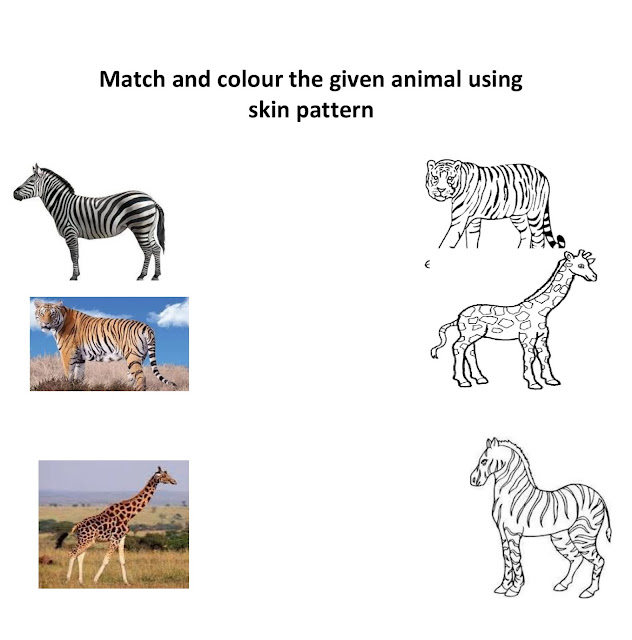 worksheets: Match And Colour The Animals