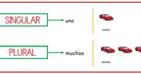 El Blog de primero y segundo: Martes 26 de mayo: singular y plural