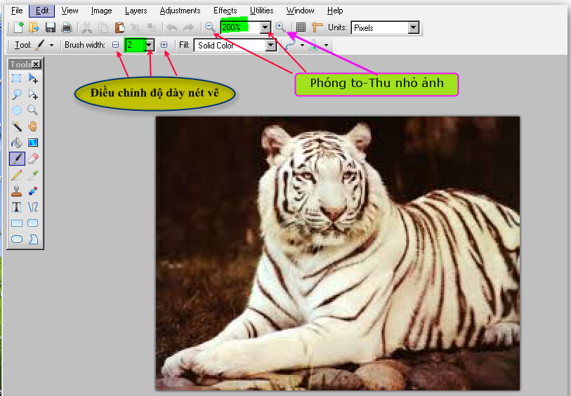 Cắt ảnh với Paint.Net | minh lương và mọi người