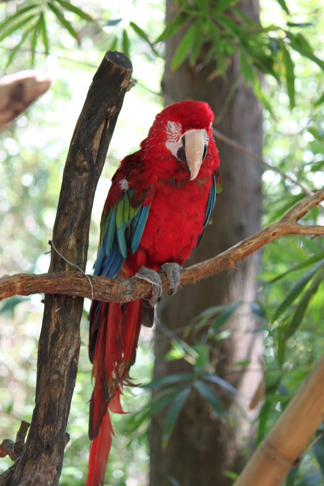 The Robertson Family: New Orleans Zoo