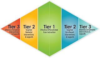 Toad-ally Exceptional Learners: 101: MTSS & RTI