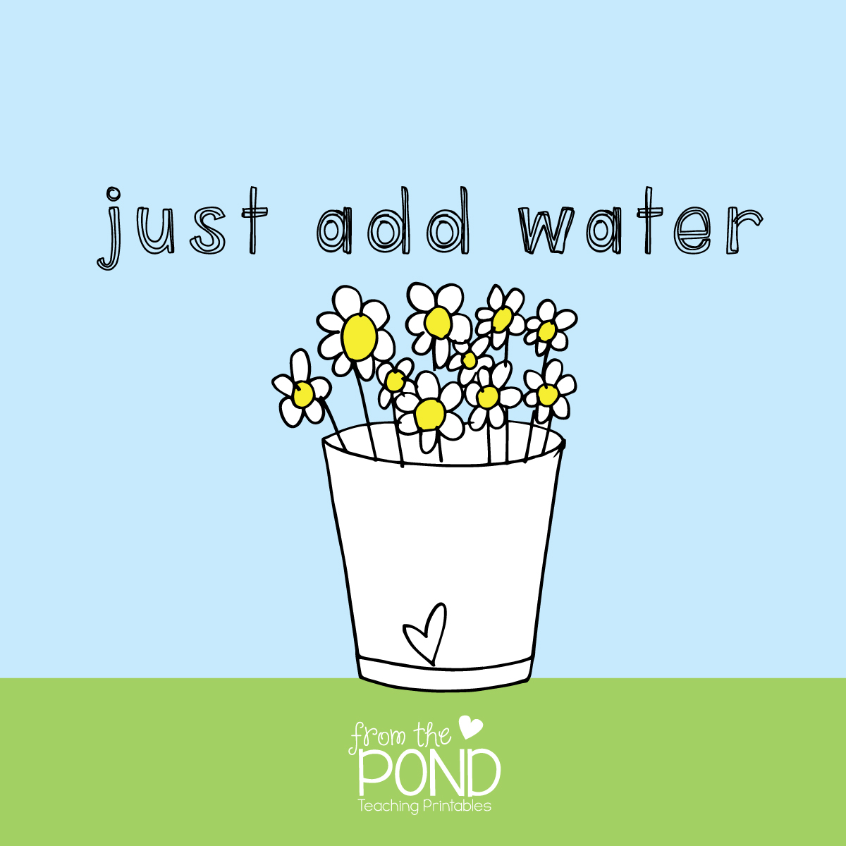 And the Flowers Bloom | From the Pond