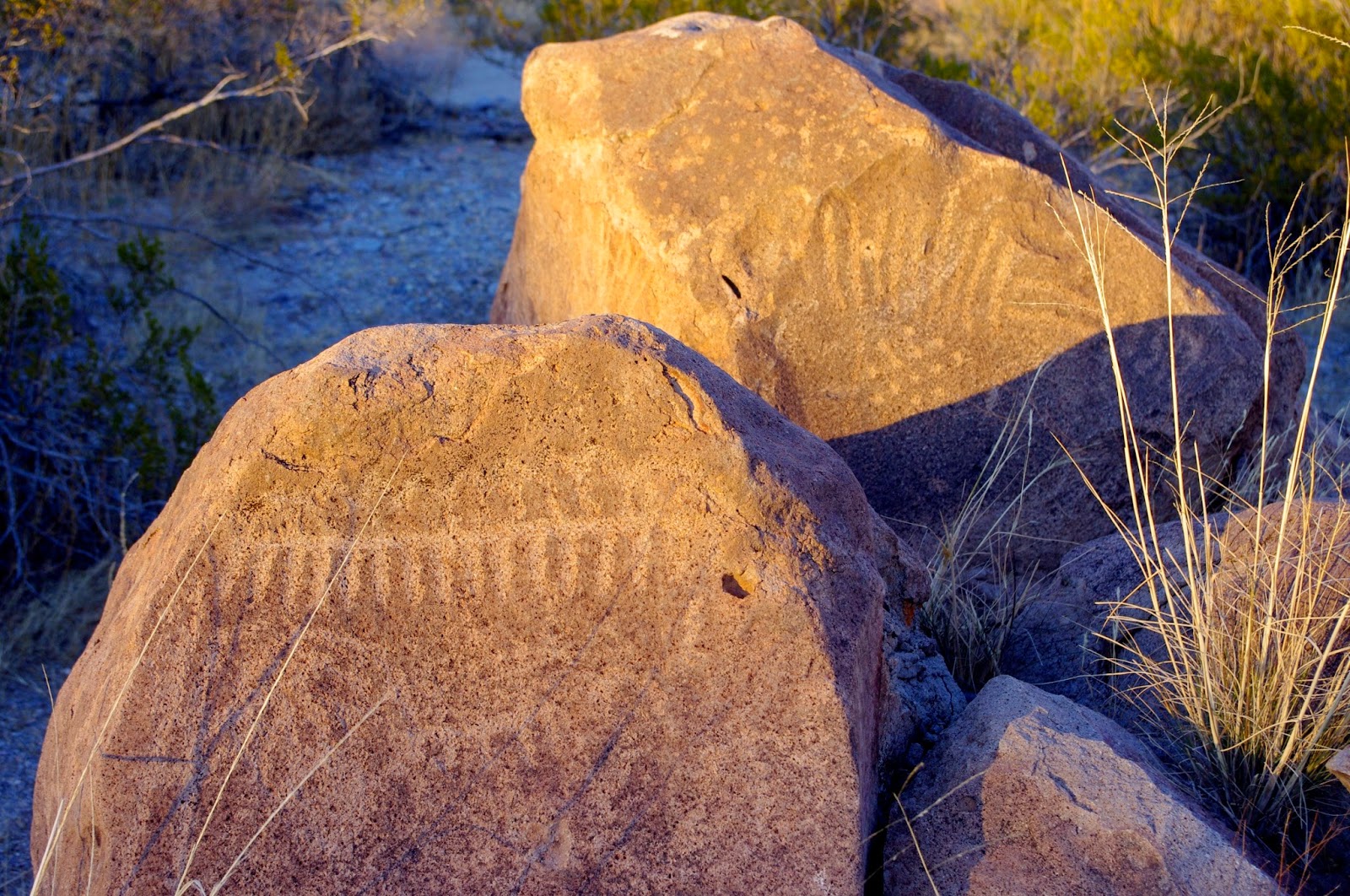 Southern New Mexico Explorer: Cleofas Canyon- Doña Ana Mountains