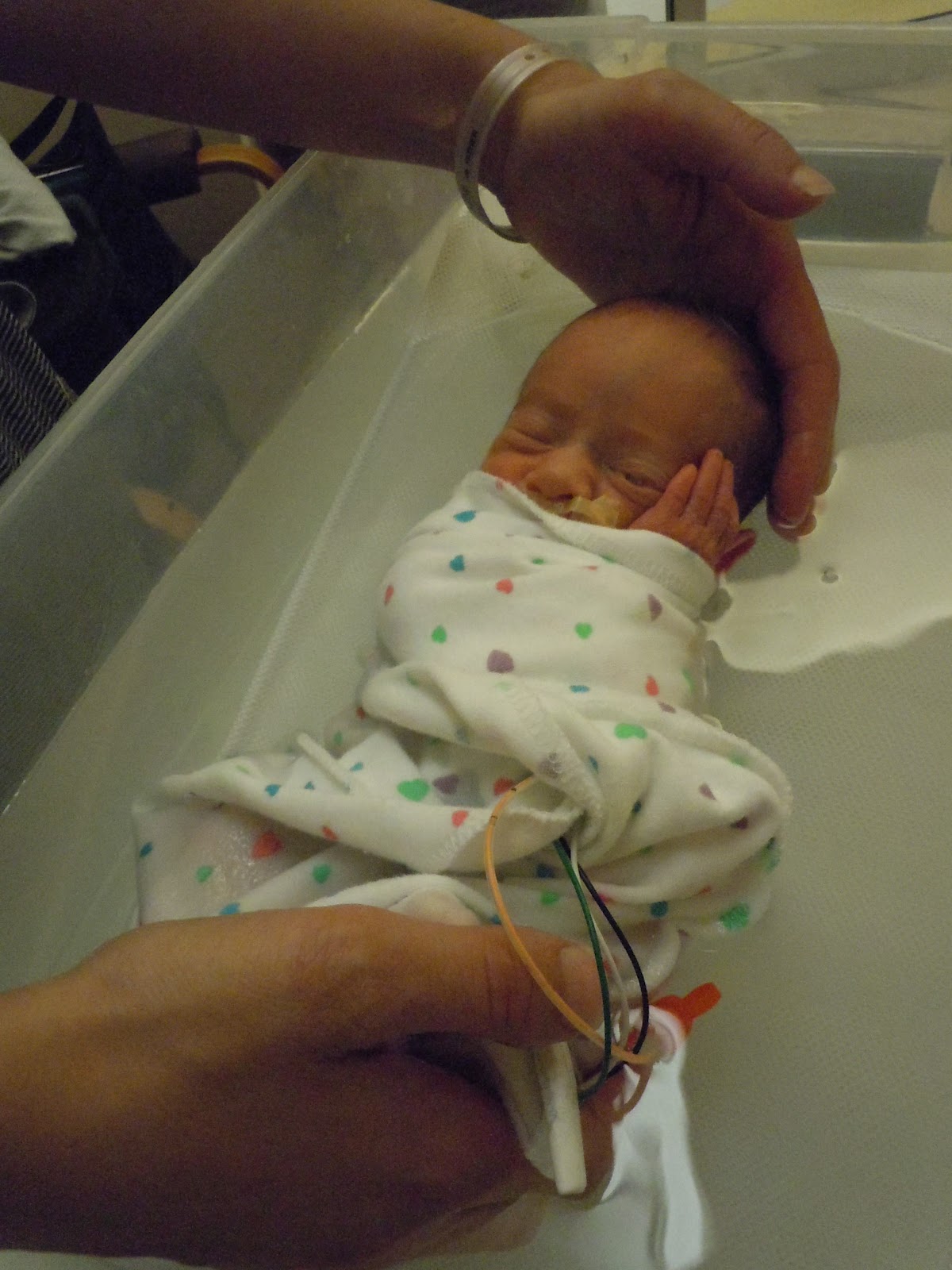 Swaddle Bath Nicu at Kim Delapaz blog