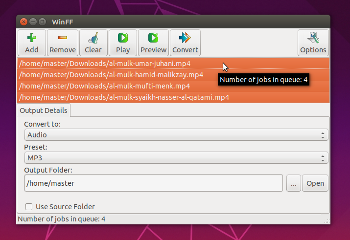 WinFF on Ubuntu: Video/Audio Conversion Made Easy