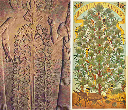 Tokin Woman: Asherah: The Tree of Life