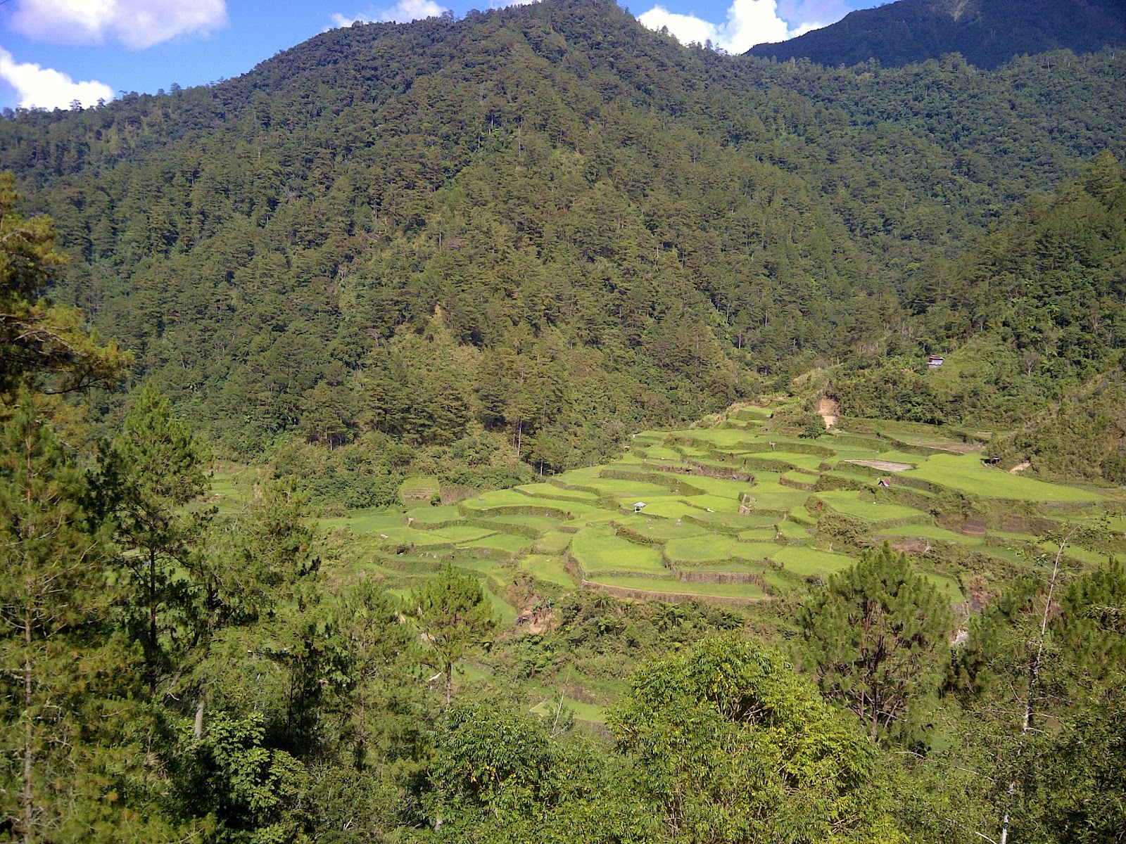 An Igorot Journey: The road to Barlig
