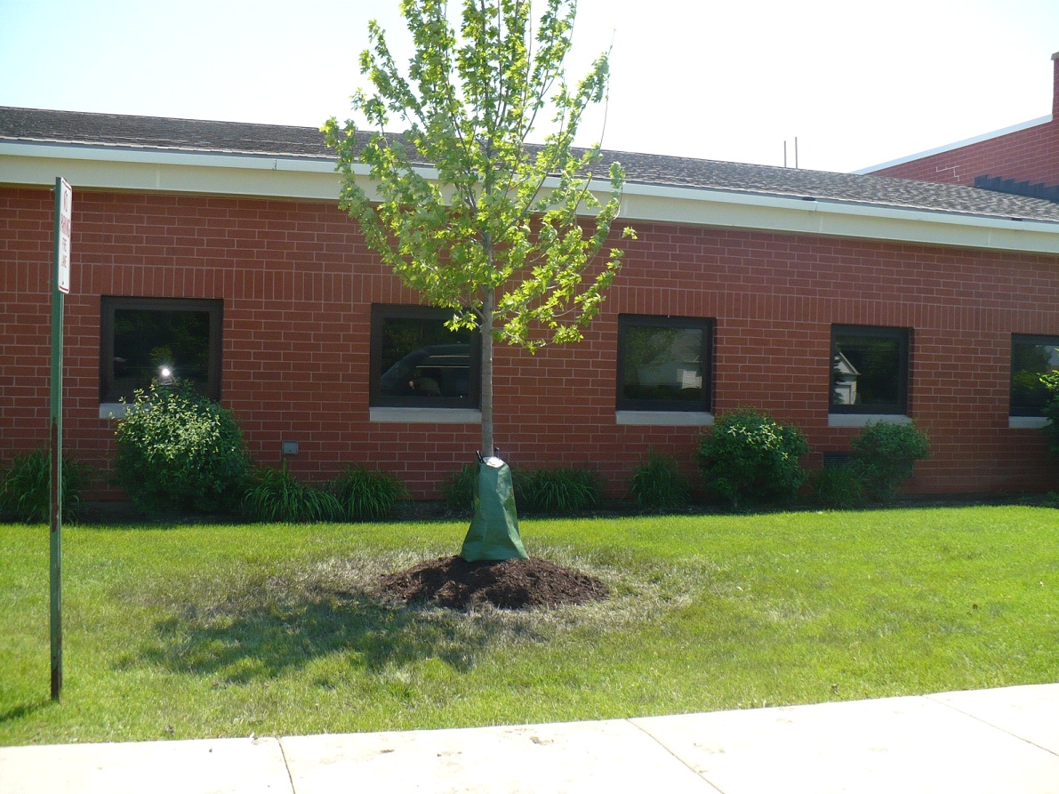 Gombert Student Council: June 2011