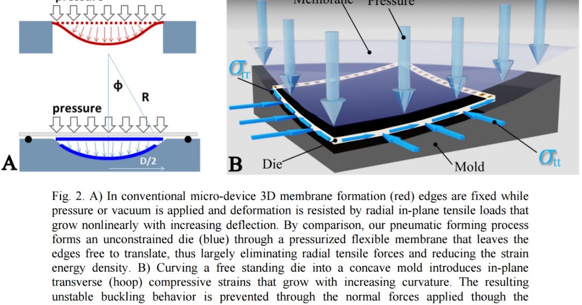 Image Sensors World: Curved Sensor Do-It-Yourself Tutorial