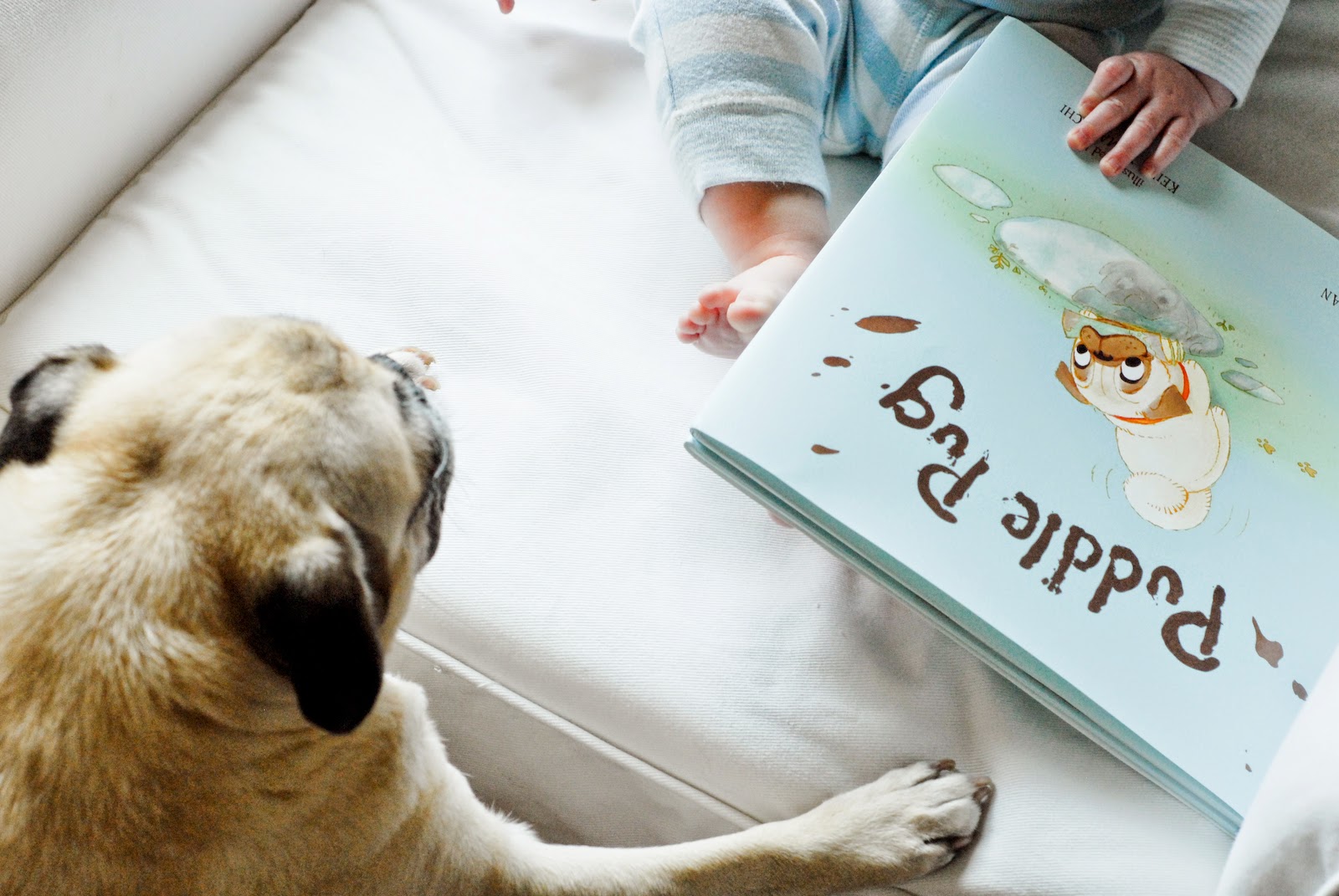 a boy, a girl and a pug: "Puddle Pug" review & giveaway