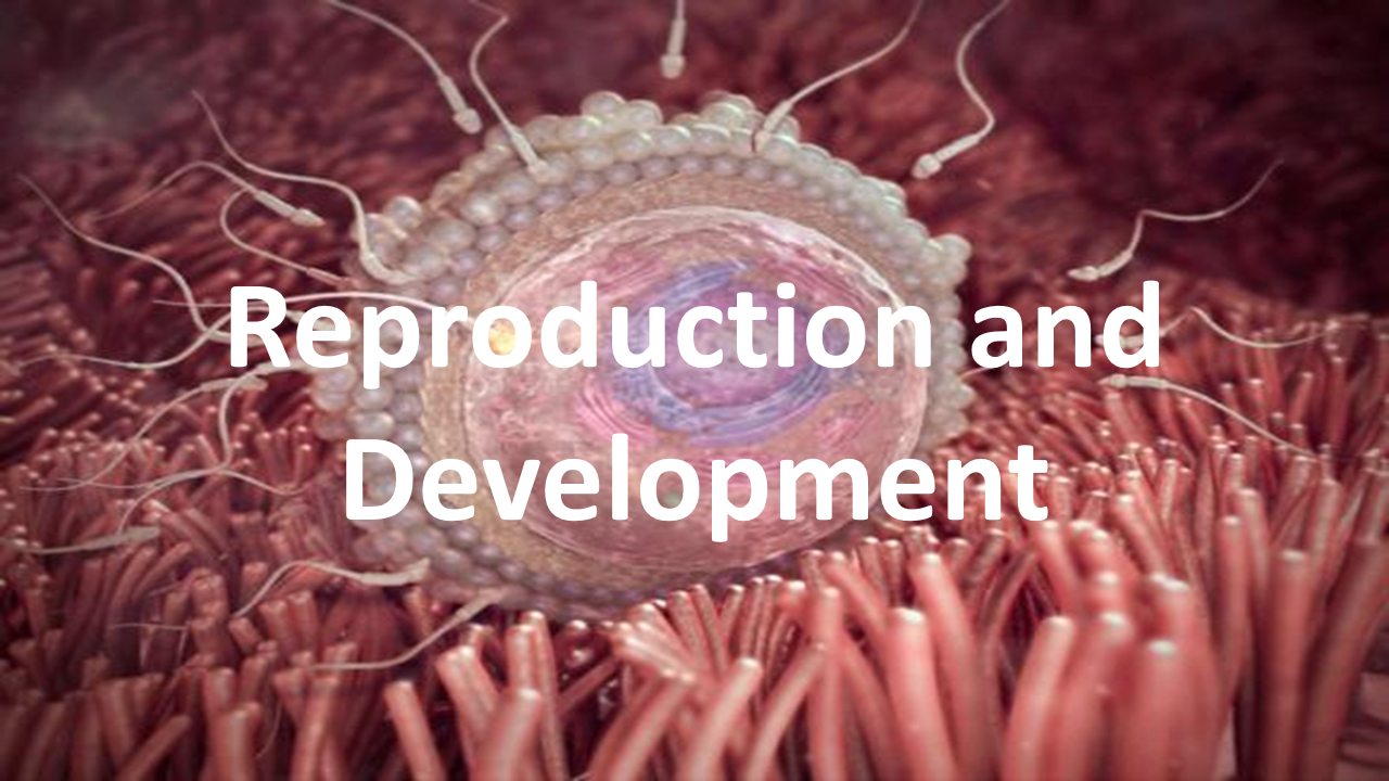 Science8: Semester 1, Chapter 5 - Reproduction and Development