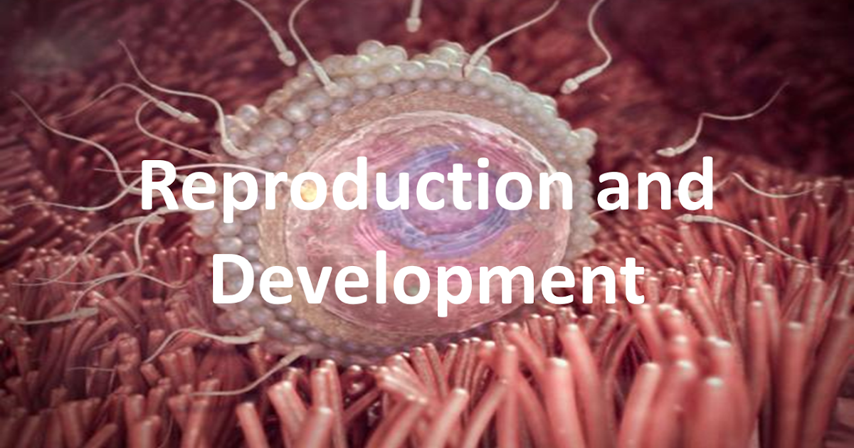 Science8: Semester 1, Chapter 5 - Reproduction and Development