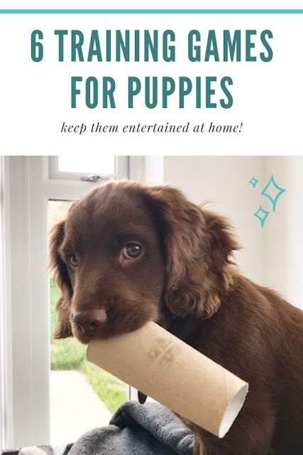 Lovely Dog: 6 training games for puppies