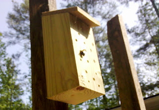 Piedmont Home Vegetable Garden: Native Bee Houses: Encouraging the ...