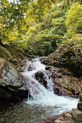 Guide to Philippine Outdoor Destinations: The Captivating Paadjao Falls ...