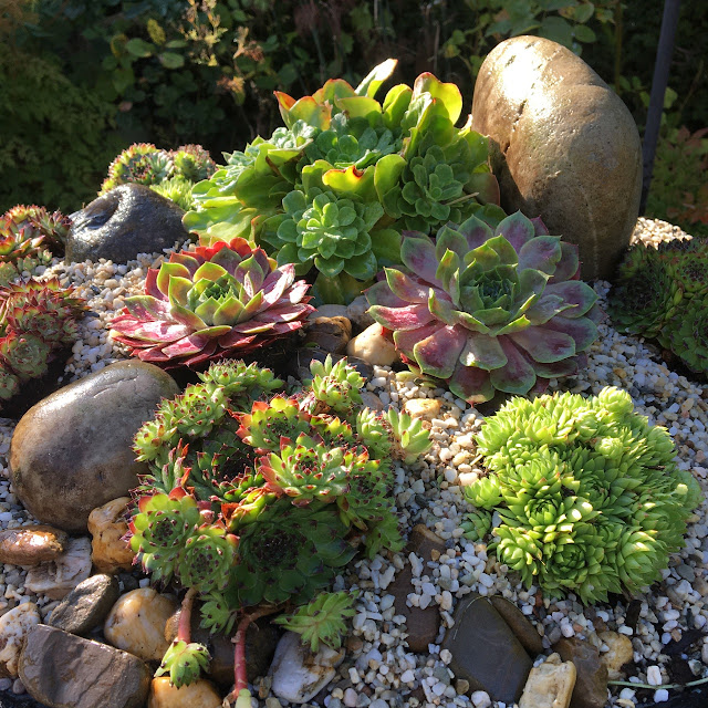 DIY. 1, 2, 3, rotstuin.