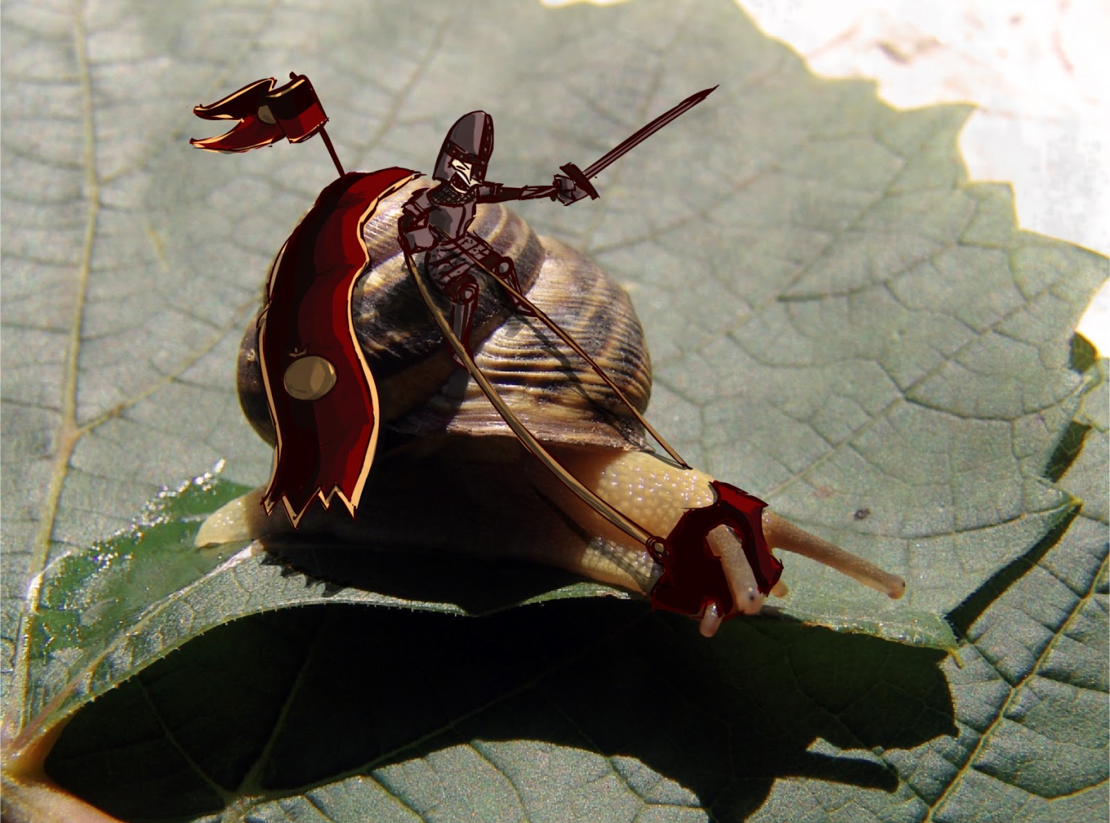 Snail Warrior Cartoons at Hamish Payne blog