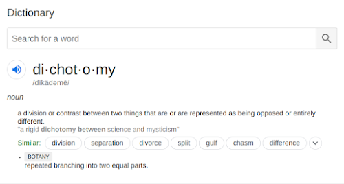 A Dichotomy of Words - The Librarian's Journey