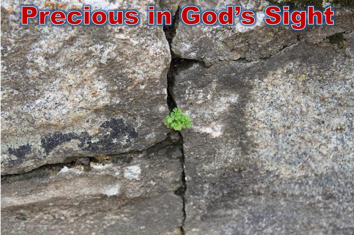 Prints of Grace: Precious in God's Sight