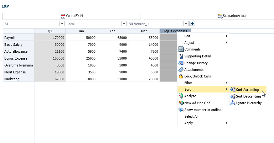 Adding formulas to the Dataforms - Hyperion Planning