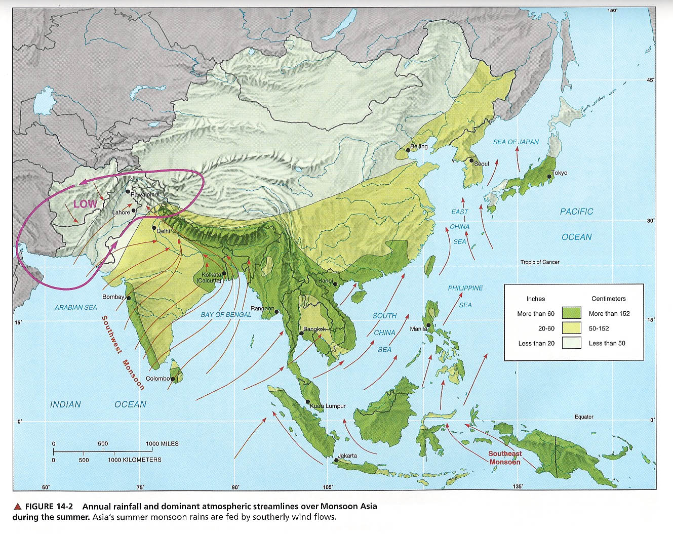 Inam's Water World: Monsoon: a rare natural phenomenon