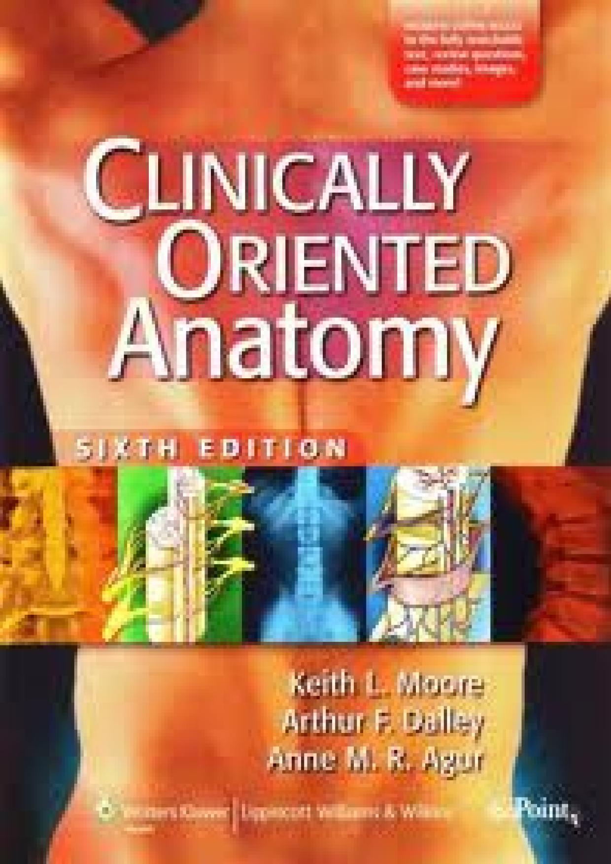 Clinically Oriented Anatomy 6th Edition – PDF – EBook - ebooksb.com