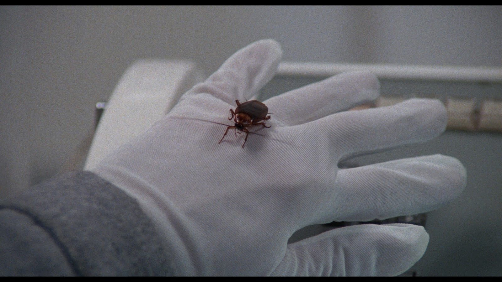 MCBASTARD'S MAUSOLEUM: CREEPSHOW (1982) (Scream Factory Blu-ray Review)