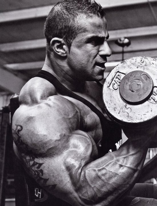 mr olympia 2012, mr olympia 2012 predictions, mr olympia 2012 winner ...