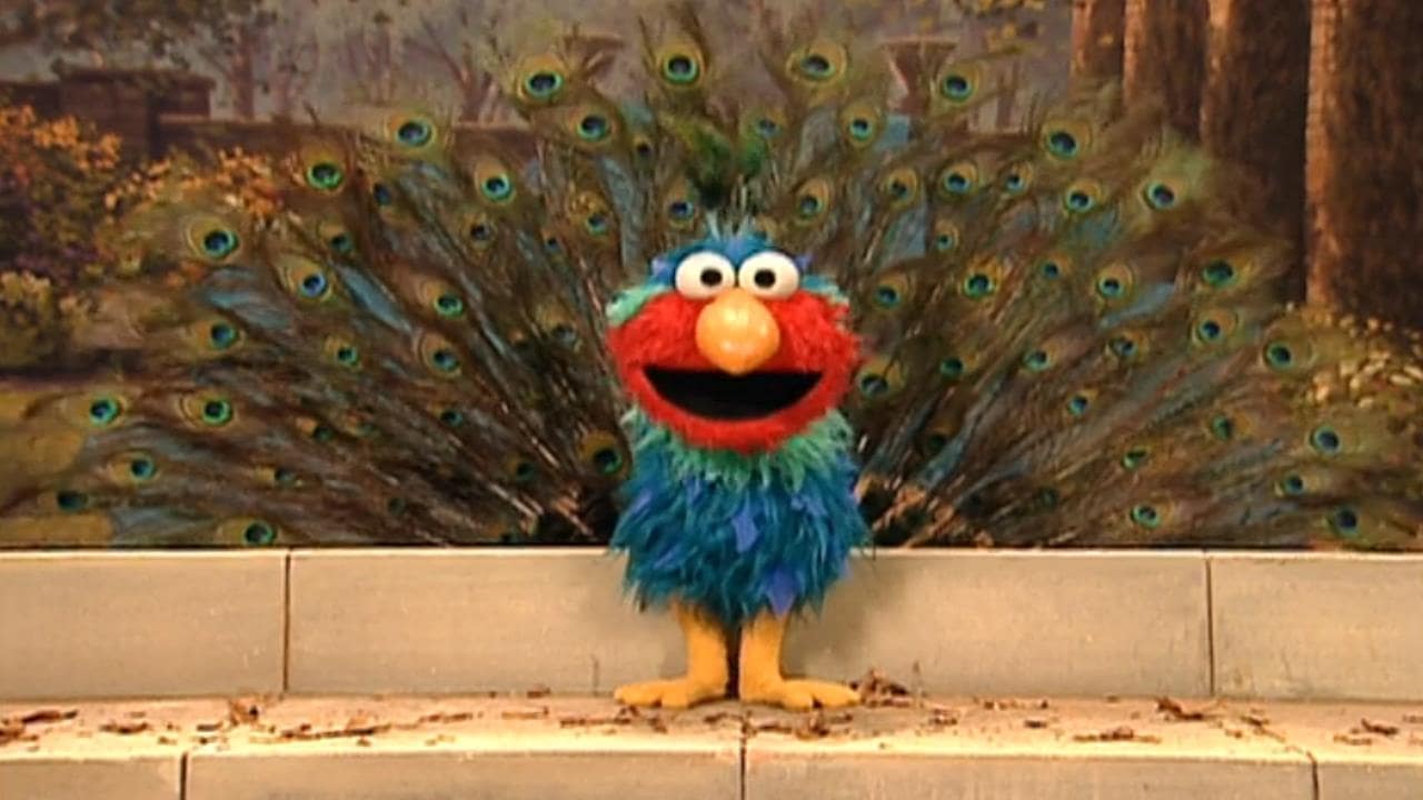 Watch Elmo's World Birds
