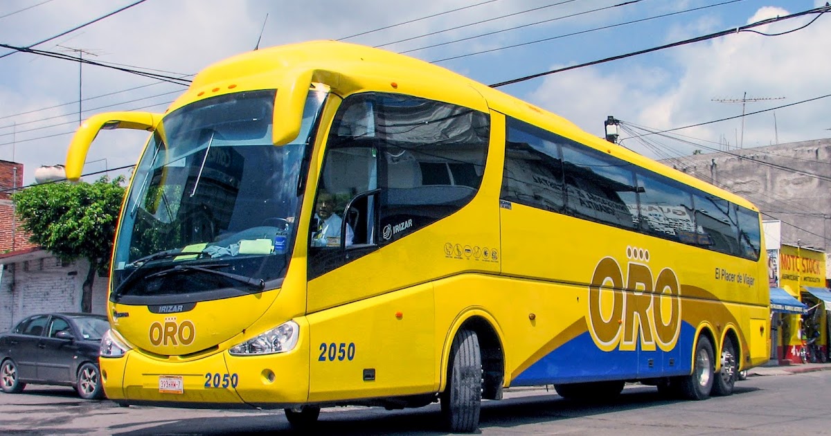 MAXIBUSES: AUTOTRANSPORTES ORO
