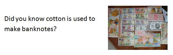 Creating my way to Success: Cotton