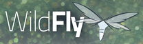 Wildfly 8.2