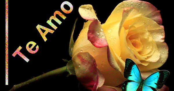Imagenes de rosas de amor con frases te amo