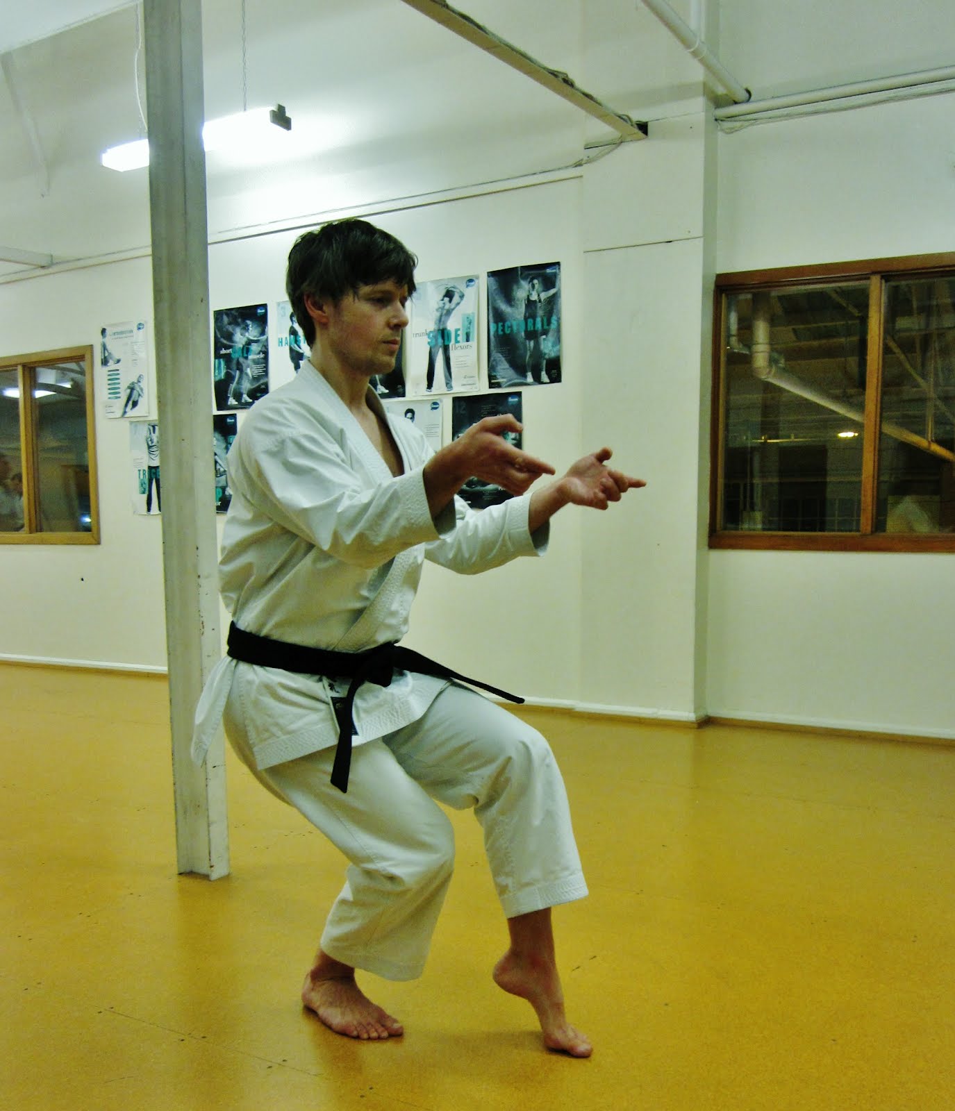 André Bertel's Karate-Do: André Bertel’s Karate-Do – 5th Anniversary!