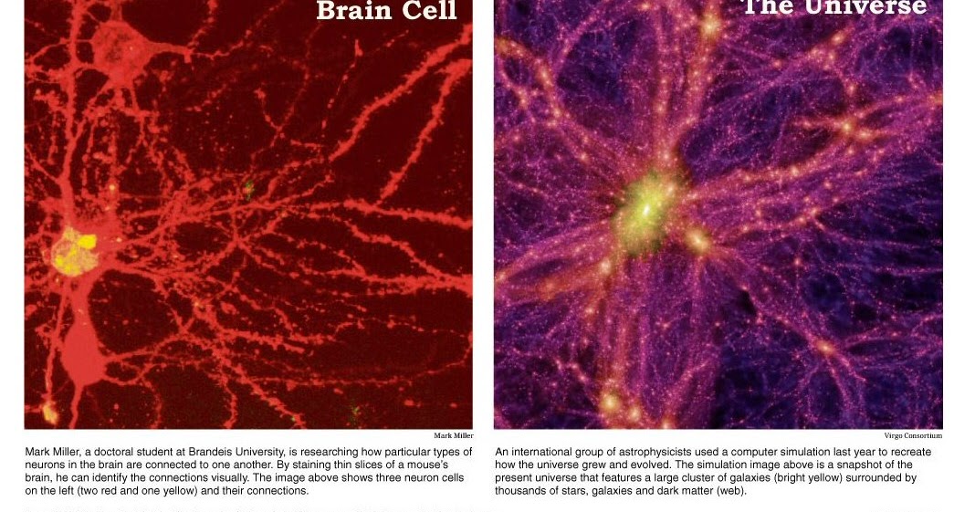 A Simple Explanation of Absolutely Everything: Brain Cell Fractal of ...