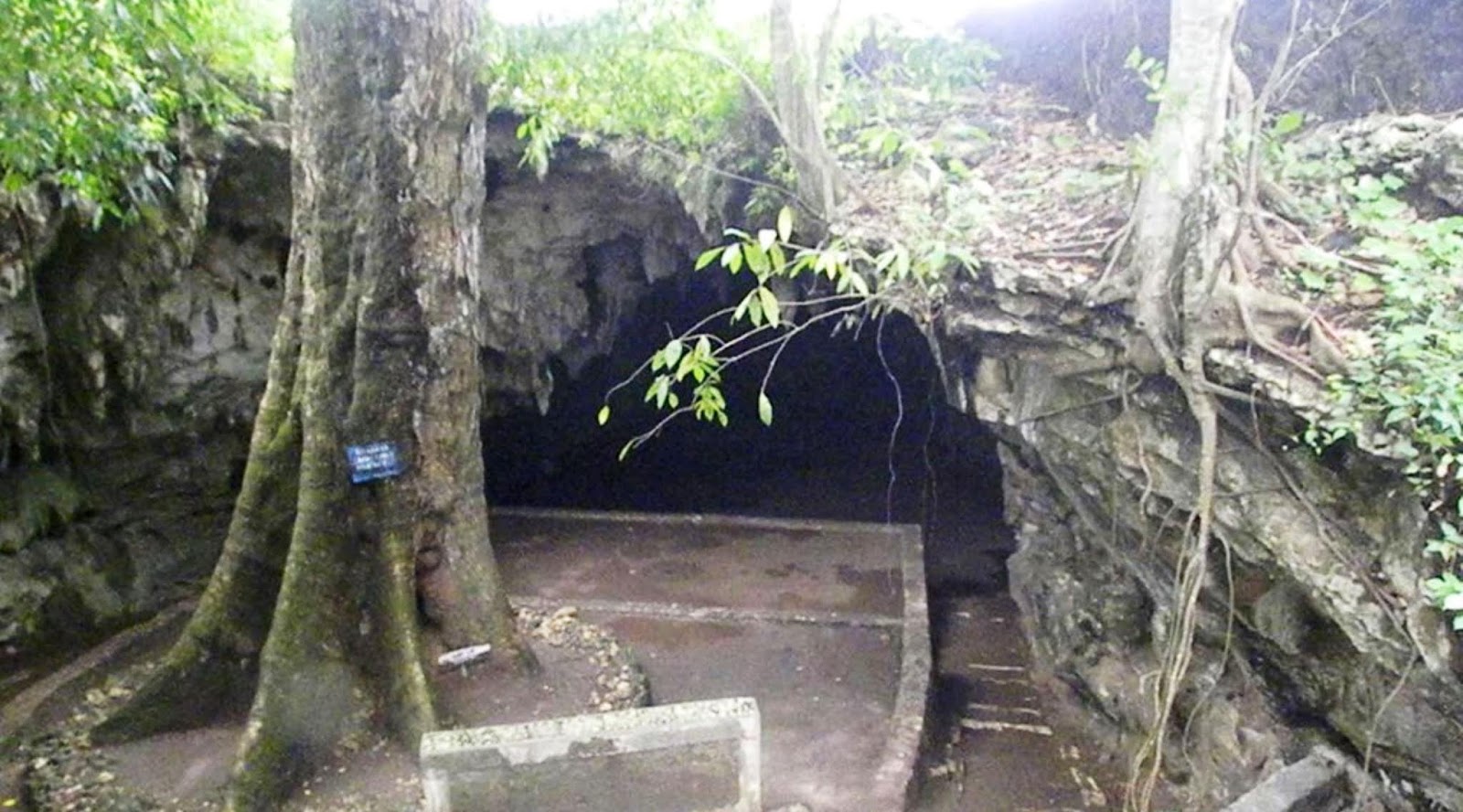 Paket Wisata Goa Rancang Kencana Gunung Kidul