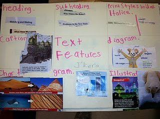 Ginger Snaps: Life Cycles and Text Features