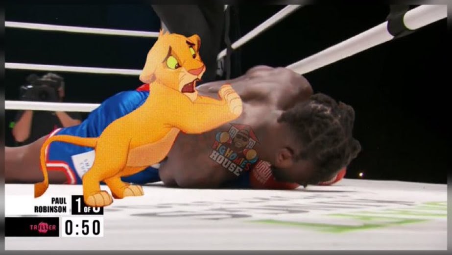 Nate Robinson Gets Knocked Out by Jake Paul in Boxing Fight, Gets Meme ...