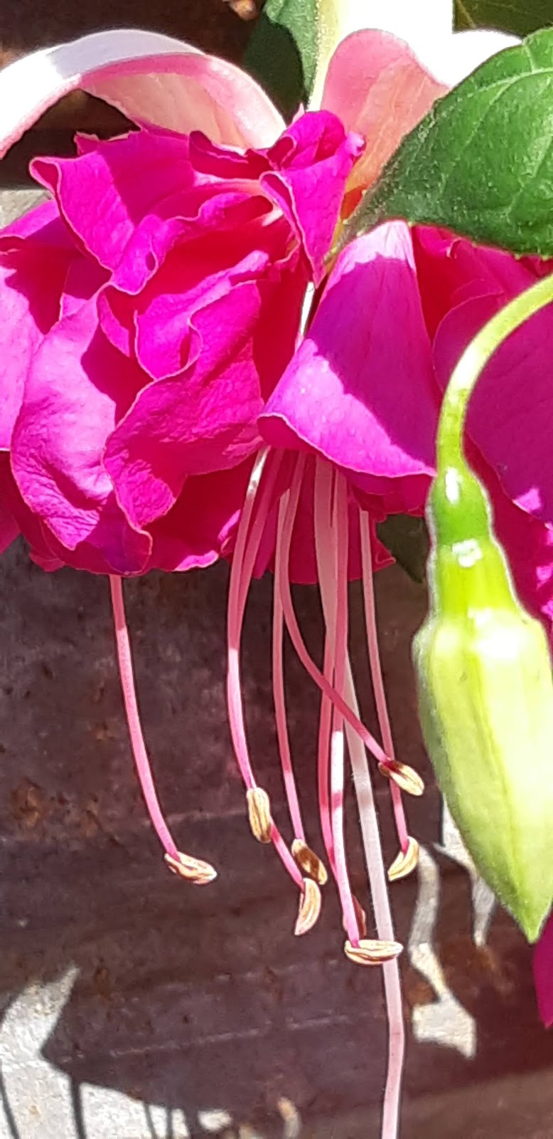 Tulihan Tehtyä: Terassin reunalla