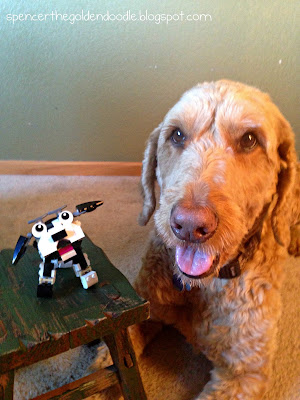 Spencer the Goldendoodle: Lego Dog