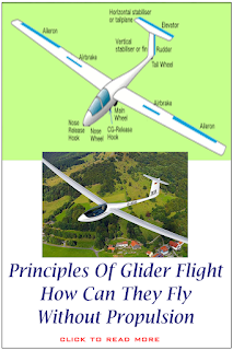 Principles Of Glider Flight How Can They Fly Without Propulsion