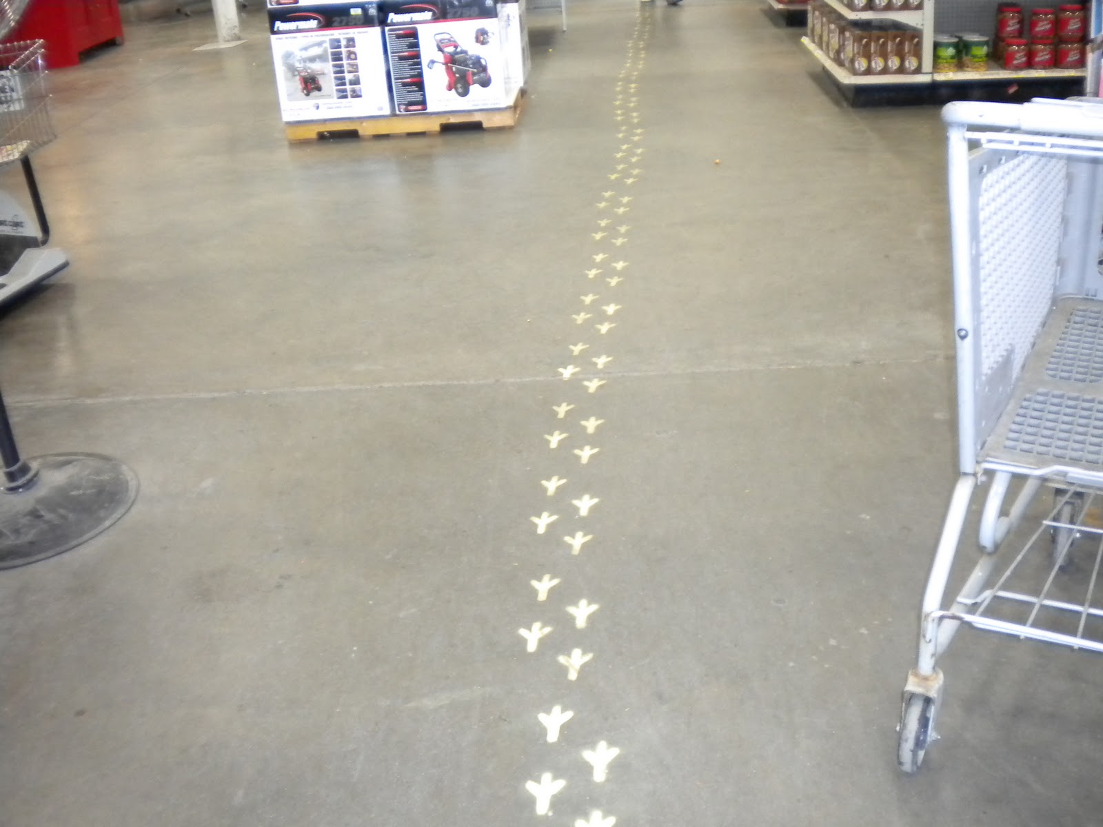 Bunbear Quilts: Chicken tracks!