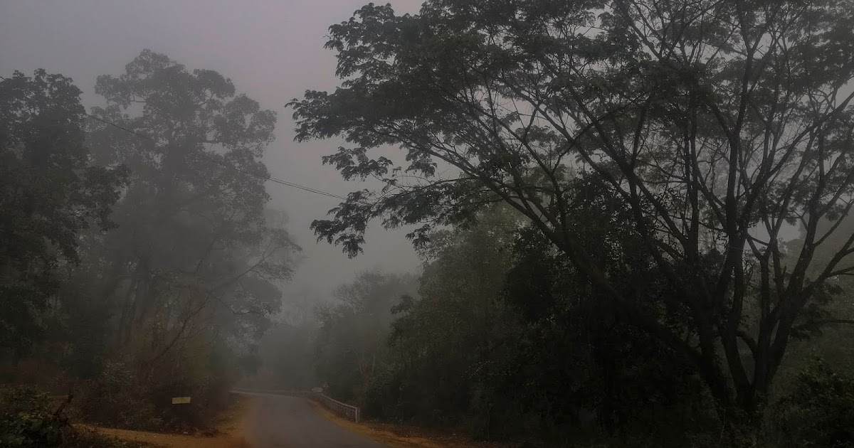 Journey to nature: Devkar falls / Vajra falls