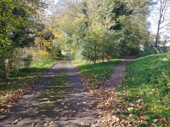 Hertfordshire Walker: Walk 91: The Wadesmill East Loop