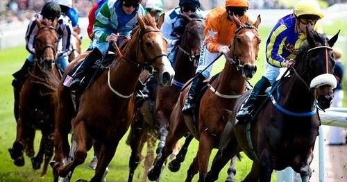 Summerton S.C. Blog: 56th Annual Elloree Trials in Santee Cooper ...