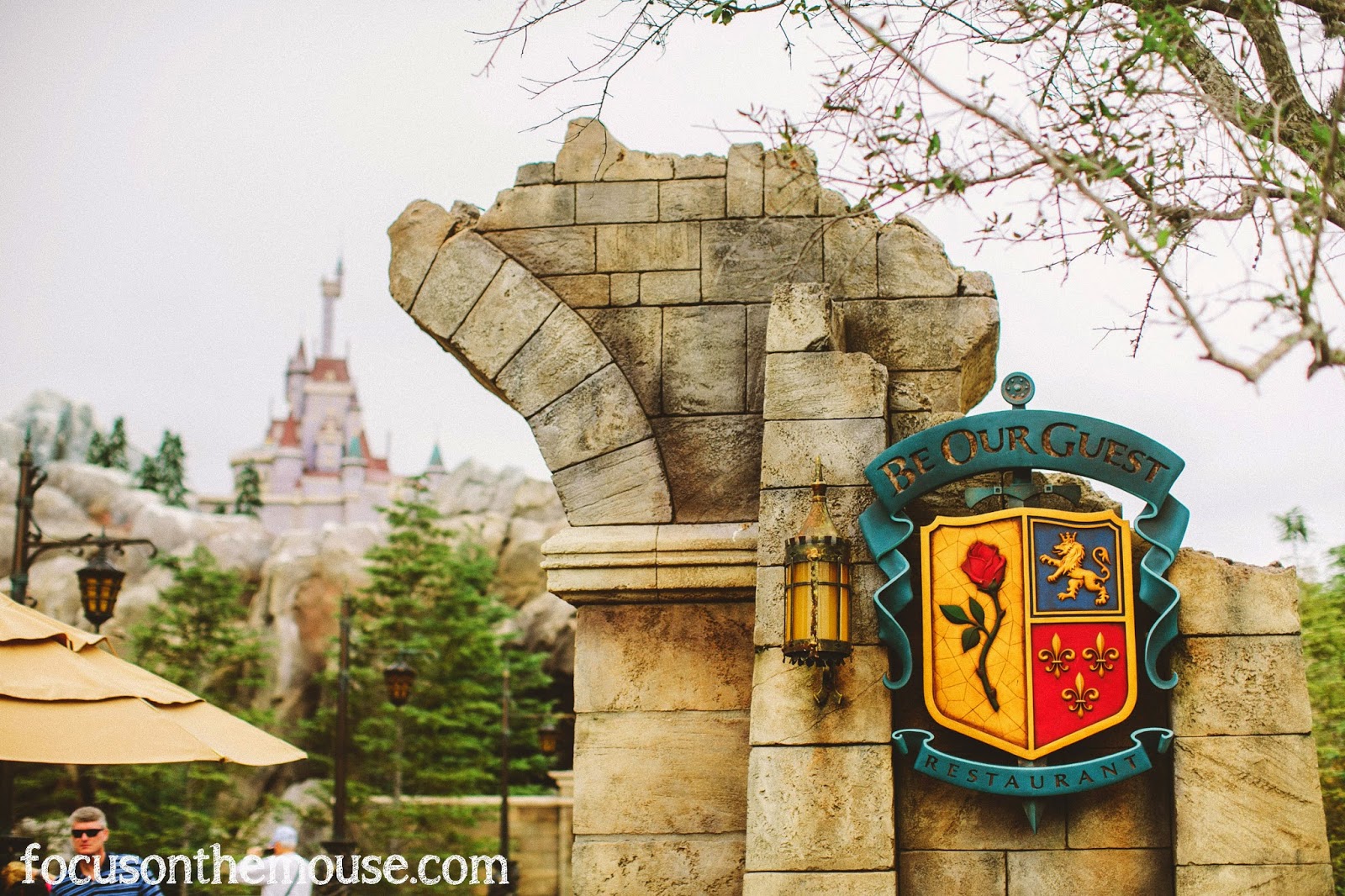 Focus on the Mouse: Day 4: Use Your Background {10 Days of Disney ...