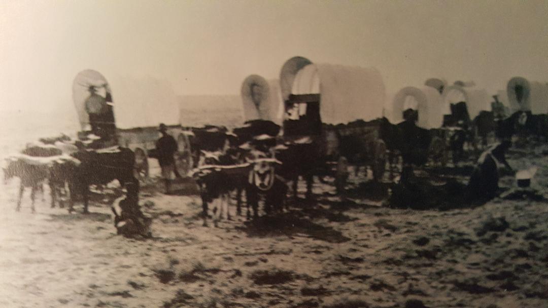 Cowboy Kisses: Wagon Trains West