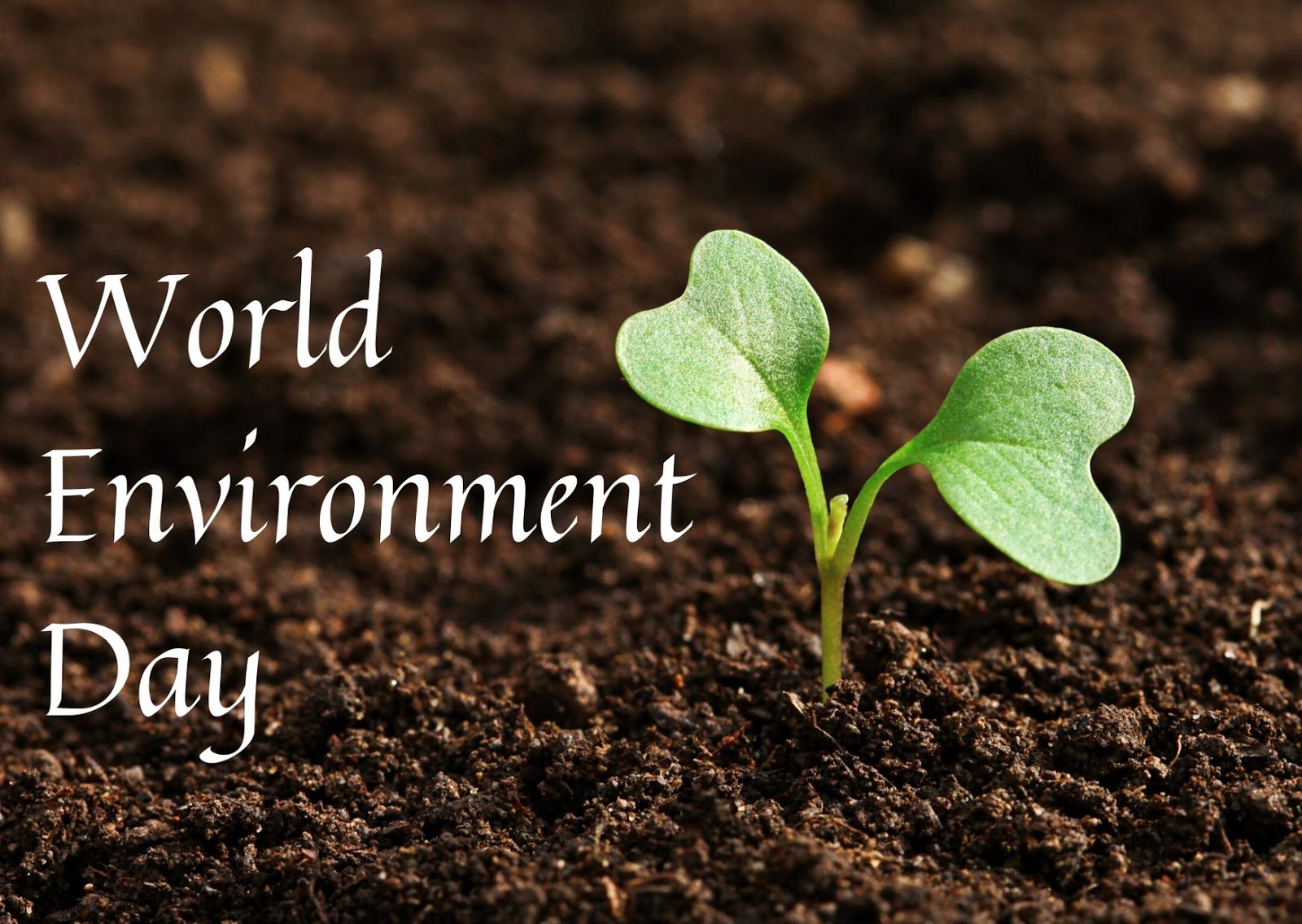 30+ Happy World Environment Day Images 2020 and pictures with Quotes ...