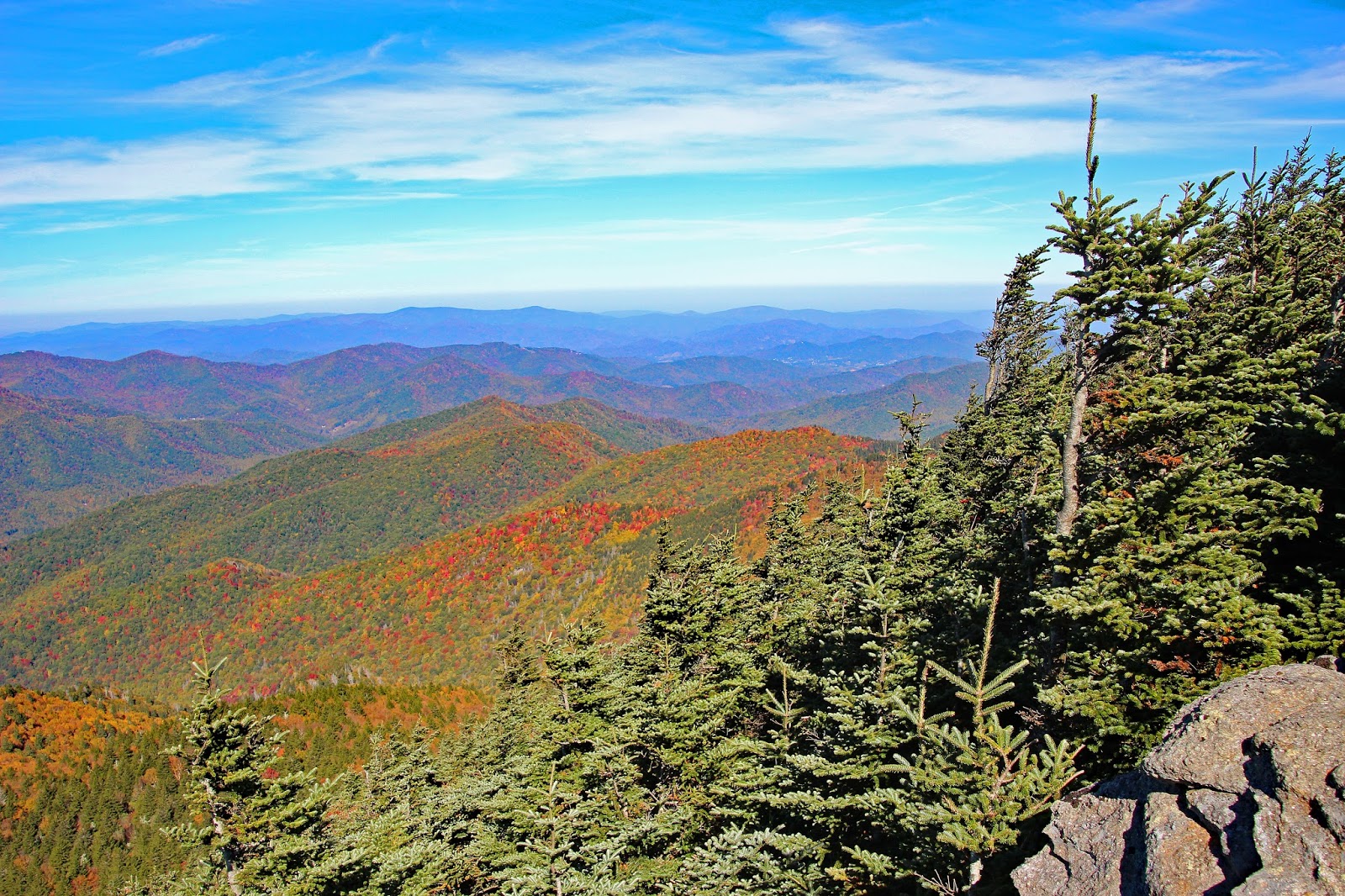 The Adventures of Bushwhack Jack: 2016-10-15 Black Mountain Crest Hike