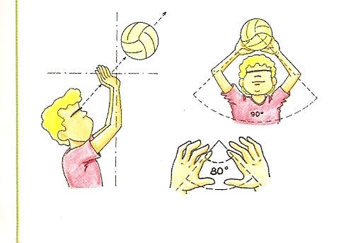 VOLEIBOL: TOQUES,PASES Y SAQUES.(básicos)